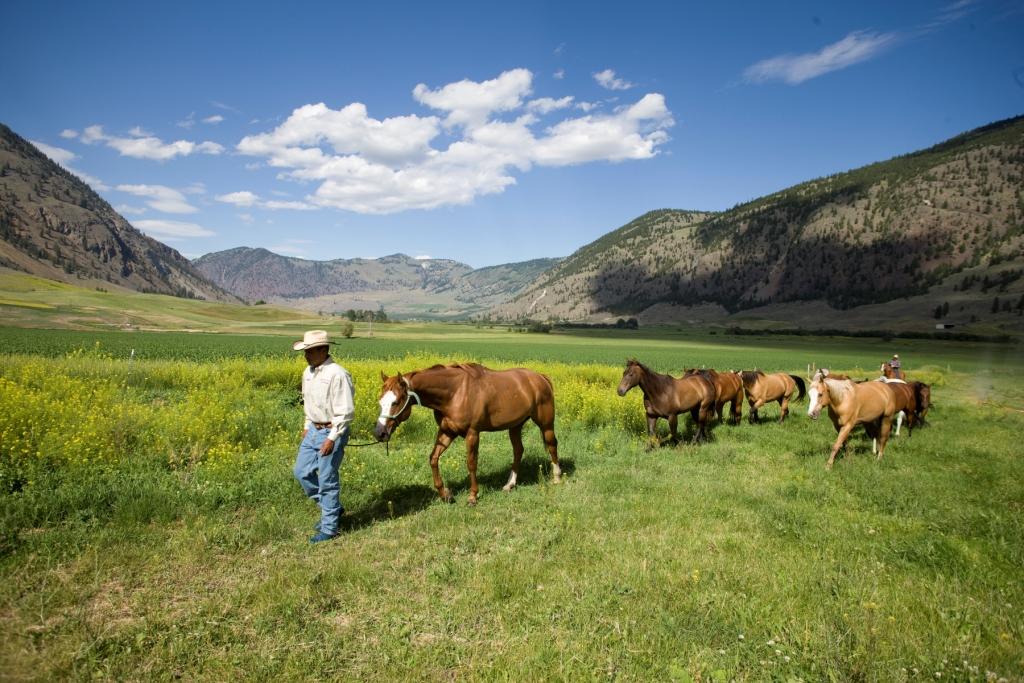 Locations Hub - Double R Ranch