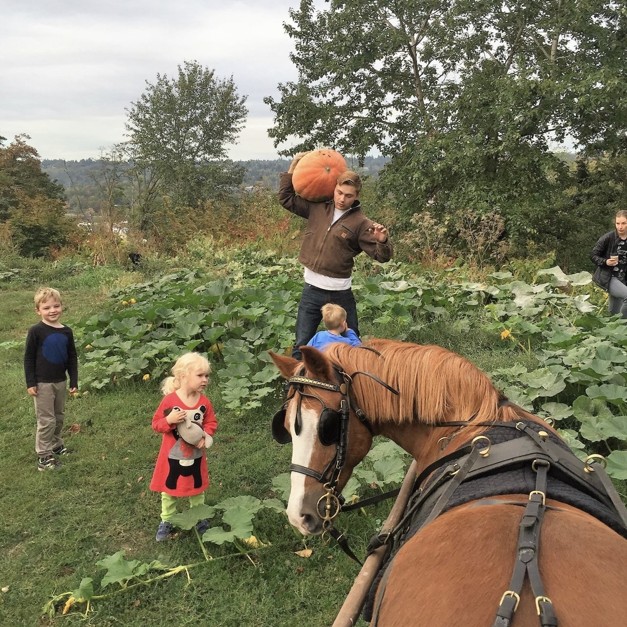 Locations Hub - Seattle Farm