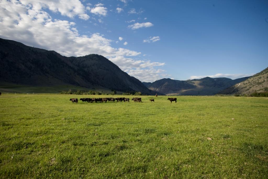 Locations Hub - Double R Ranch
