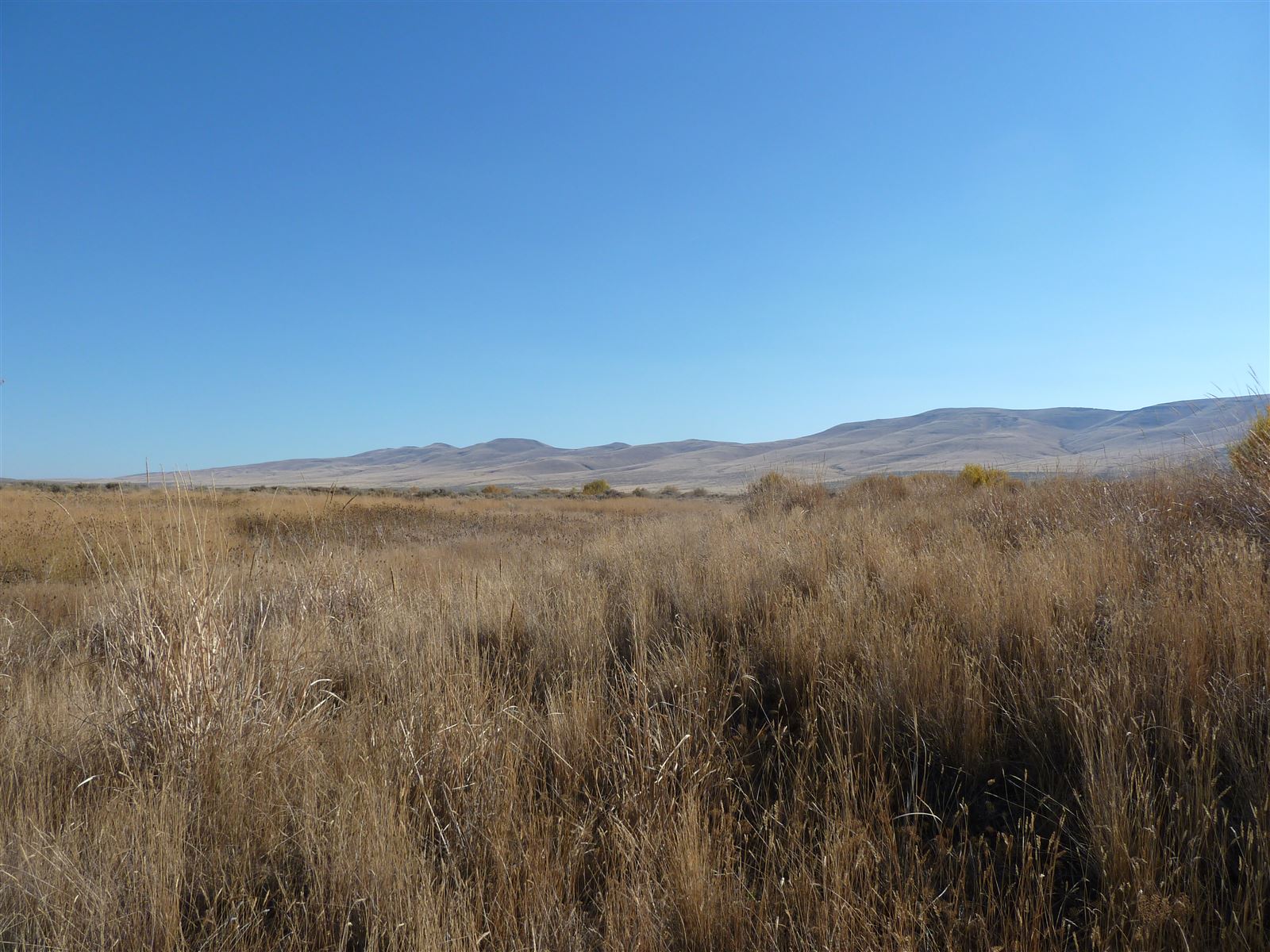 Locations Hub - Yakima Training Center