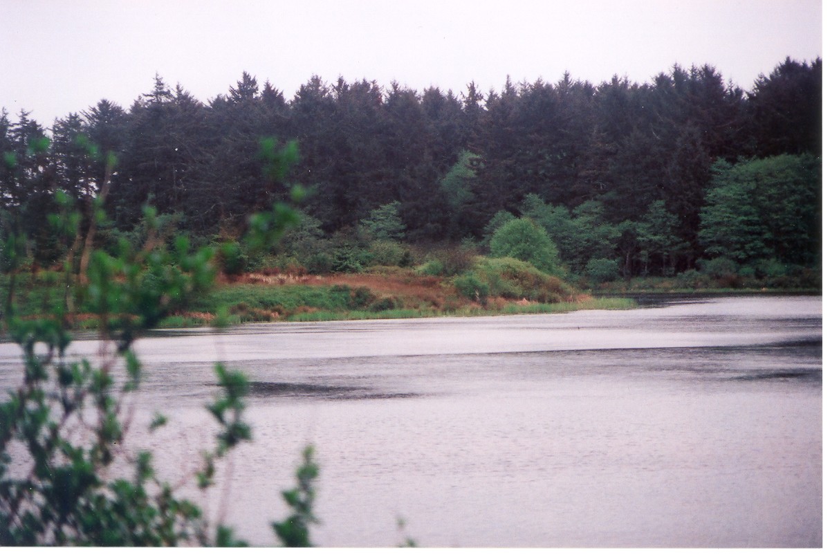 Locations Hub - Duck Lake