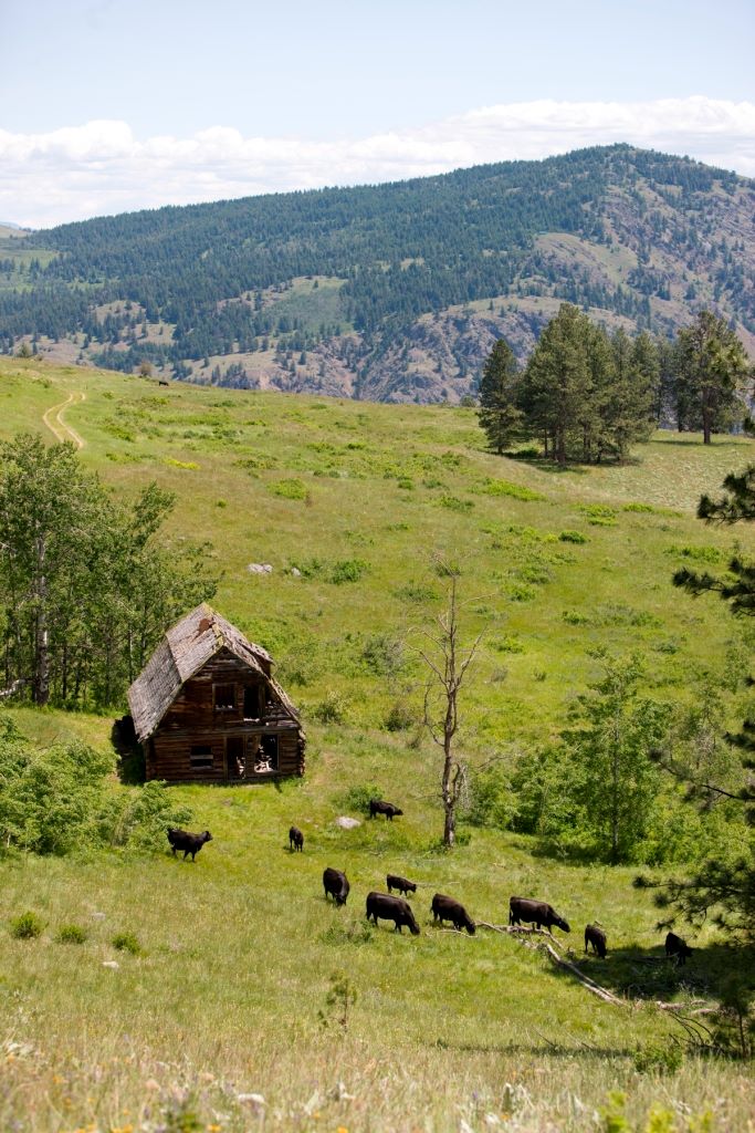 Locations Hub - Double R Ranch