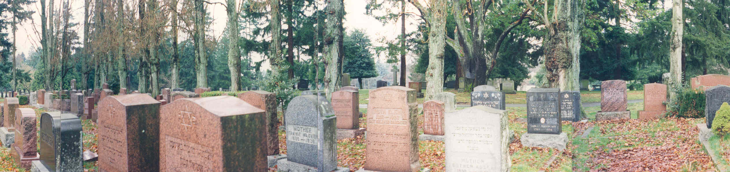 Locations Hub - Evergreen-Washelli Cemetery