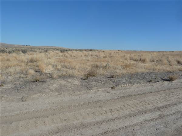 Locations Hub - Yakima Training Center